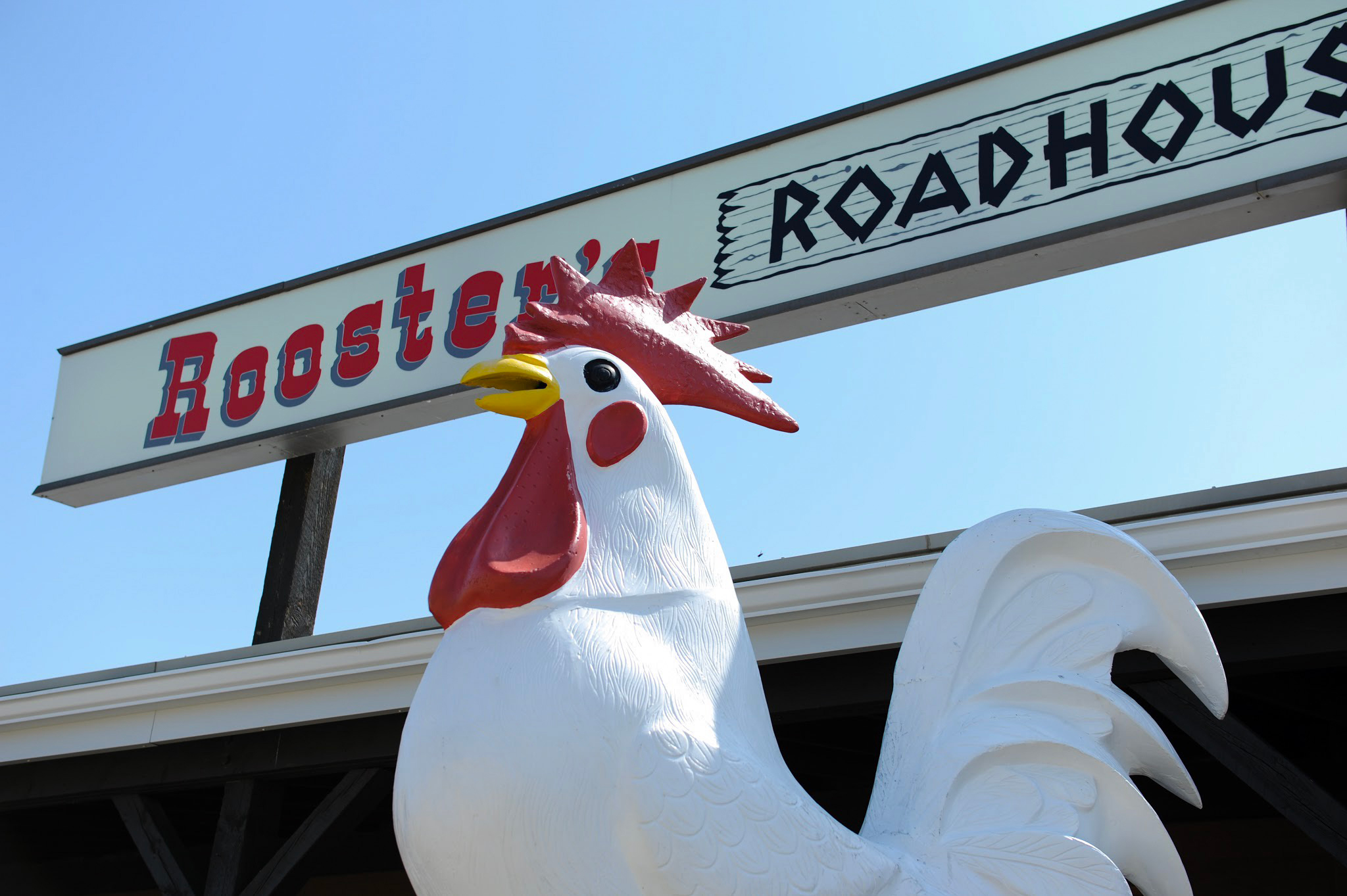 Roosters, ghosts and jukebox jive in Clive | ZenSeekers