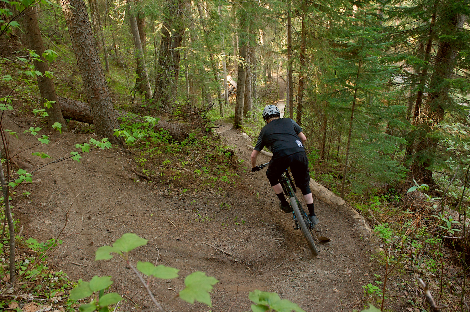 Dinosaur DNA still flows through Prince George #DinoTrail | ZenSeekers