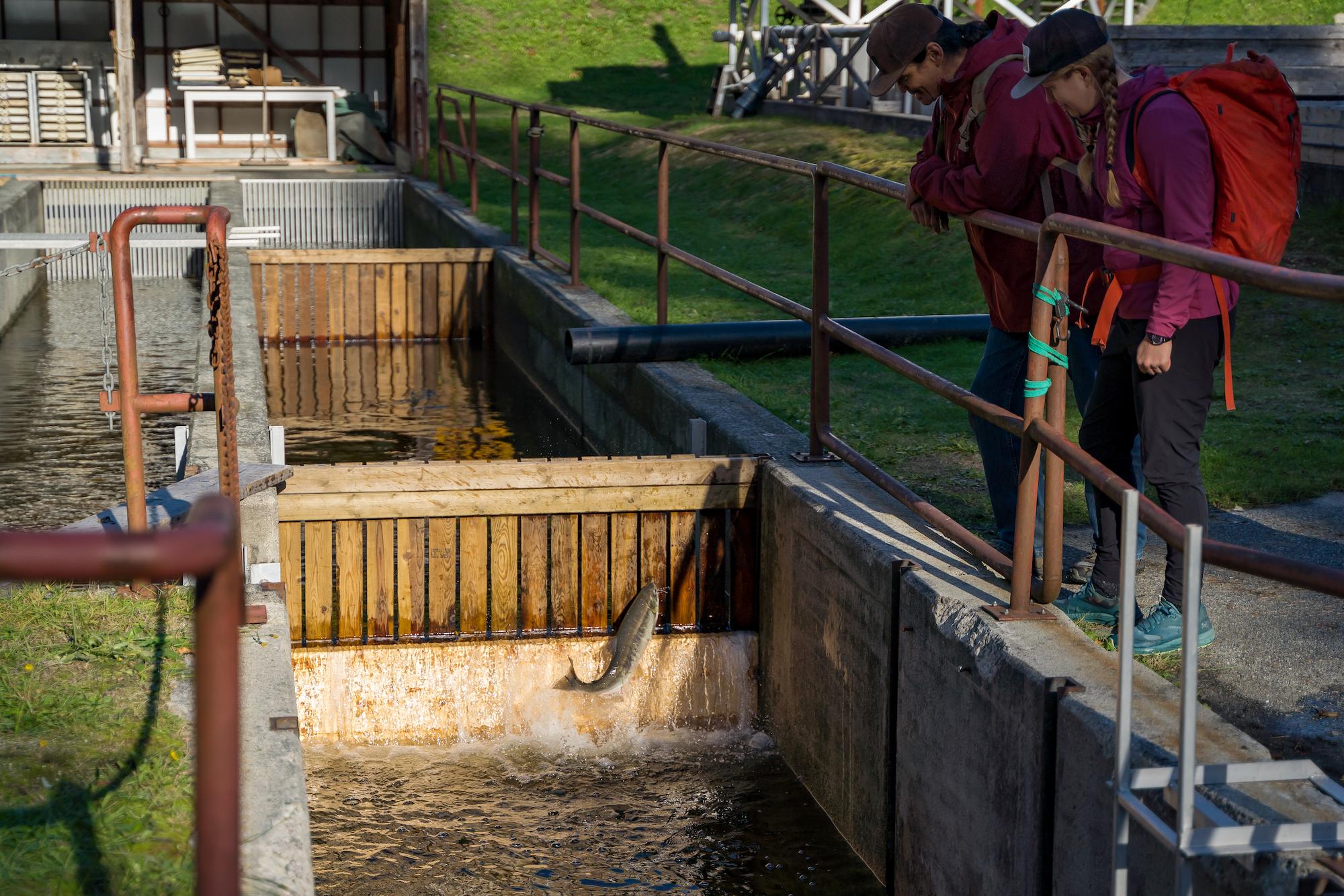 Tla'amin Creation Story Comes to Life on the Land | ZenSeekers
