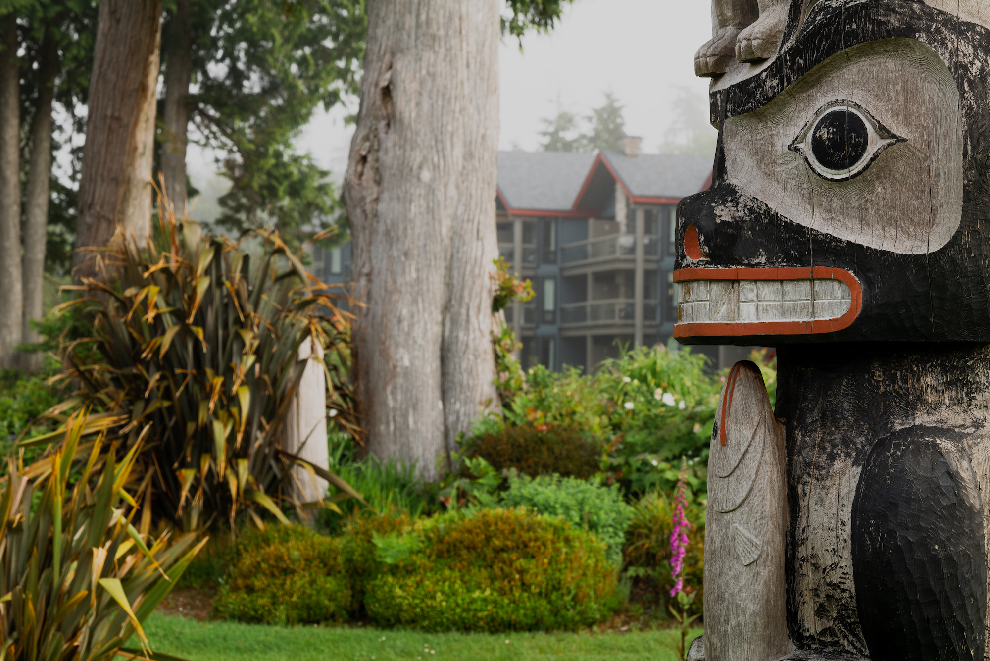 naaʔuu presents Tla-o-qui-aht First Nation culture to the world ...