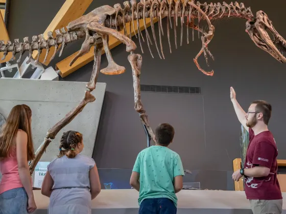 Prehistoric history awaits with these 6 dinosaur experiences in Alberta ...