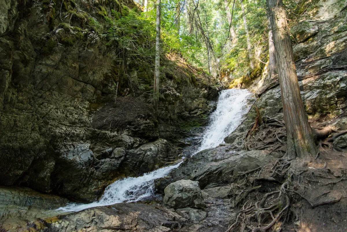 Five of Vernon's best hikes | ZenSeekers