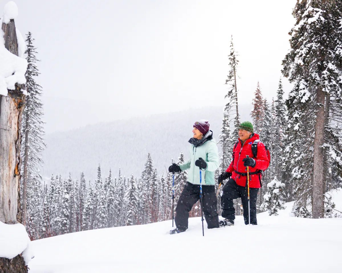 How to snowshoe the best of BC | ZenSeekers