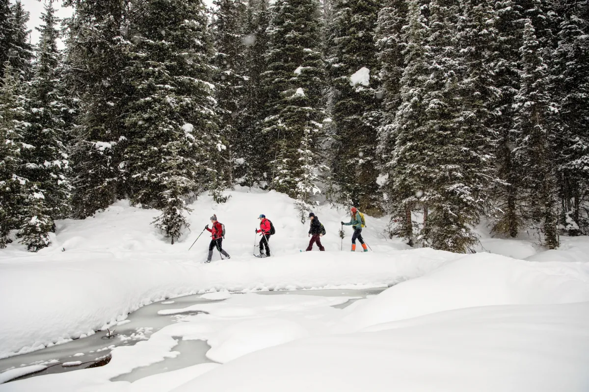 Visit Wells for winter wellness, history, local culture | ZenSeekers