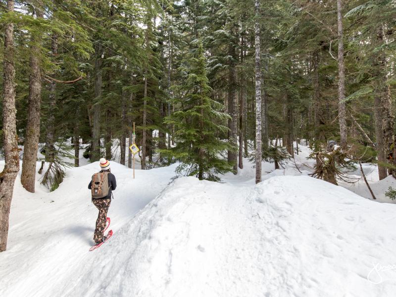 How to snowshoe the best of BC | ZenSeekers