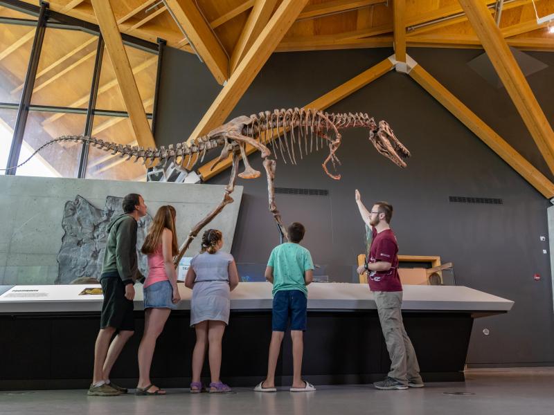 Prehistoric history awaits with these 6 dinosaur experiences in Alberta ...