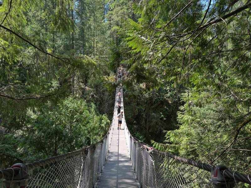 Three easy Vancouver hikes you can do in under 3 hours | ZenSeekers