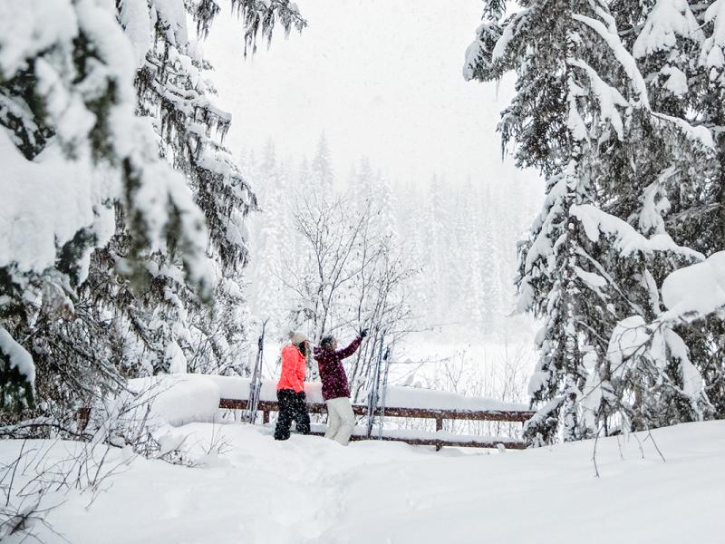 Dendrite, graupel or hoarfrost: three types of snow you should know ...