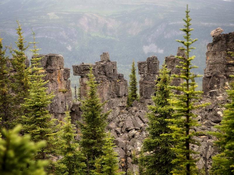 Walk in dino tracks in Tumbler Ridge BC #DinoTrail | ZenSeekers