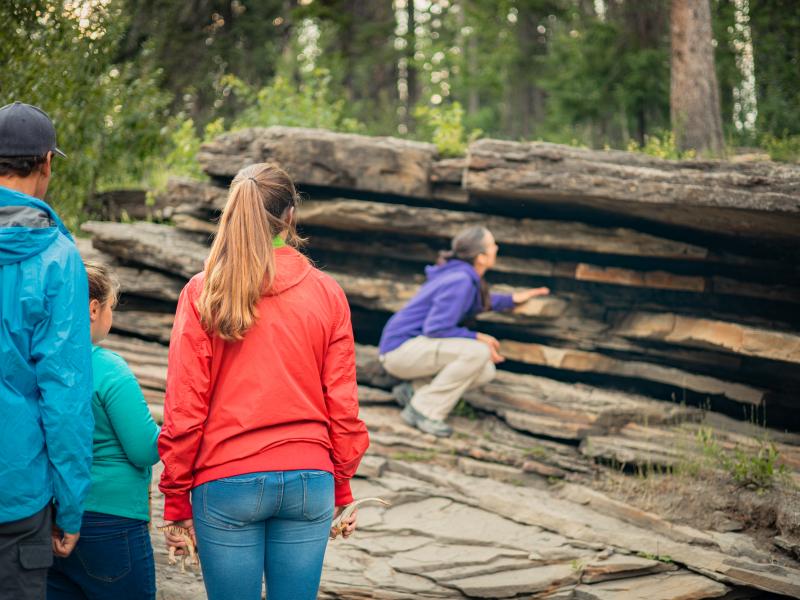 Rock or fossil: how to tell the difference | ZenSeekers