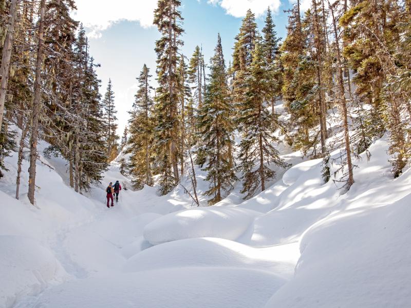 Visit Wells for winter wellness, history, local culture | ZenSeekers